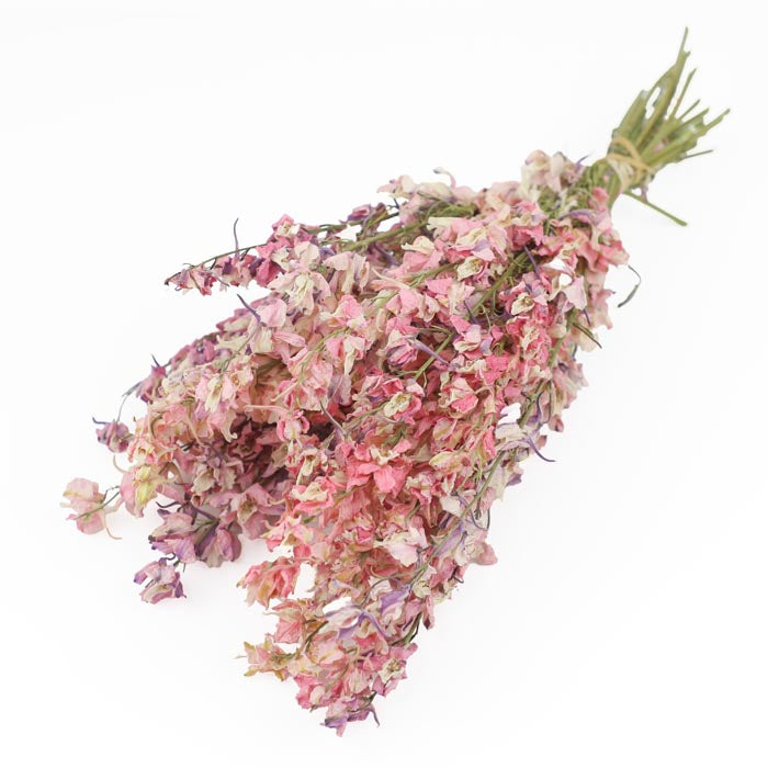 Mixed Pink Delphinium Bunch – LSF Wholesale