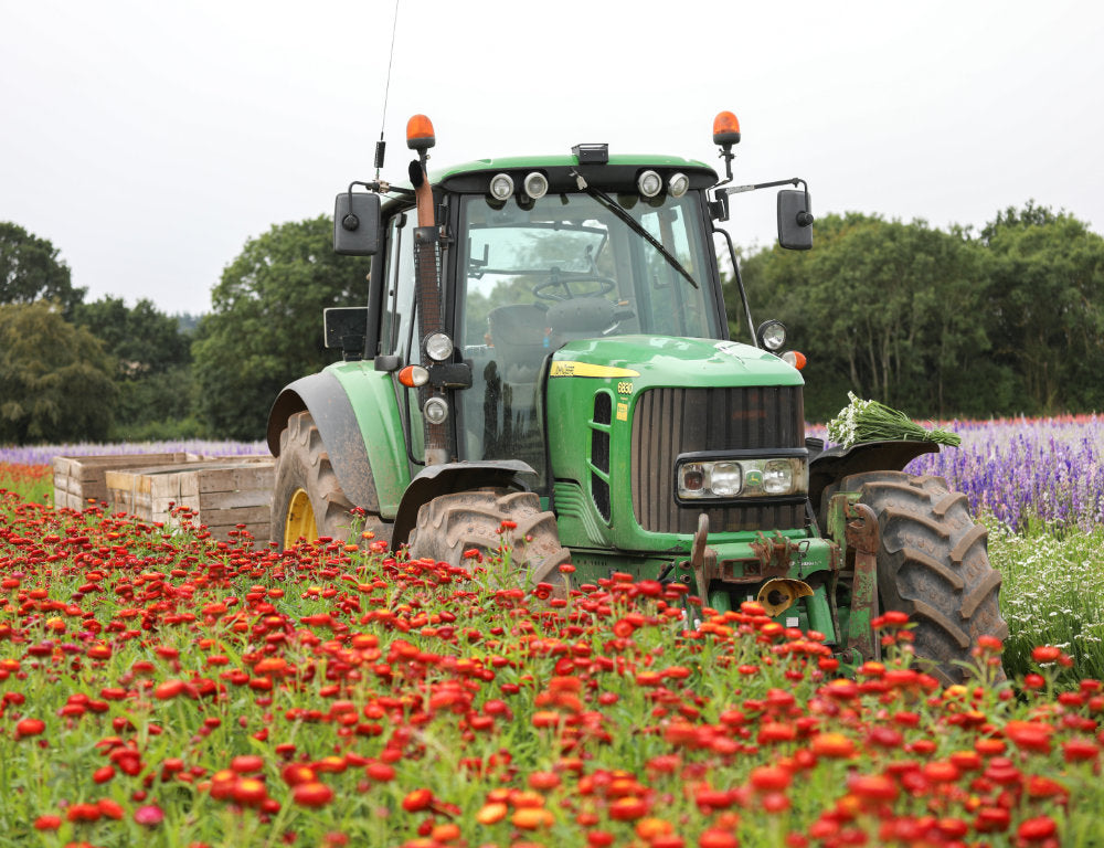Celebrating British Flowers Week: Why Buying British Blooms Matters ...
