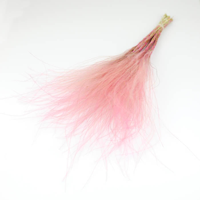 Pink Feather Grass (Dyed) – LSF Wholesale