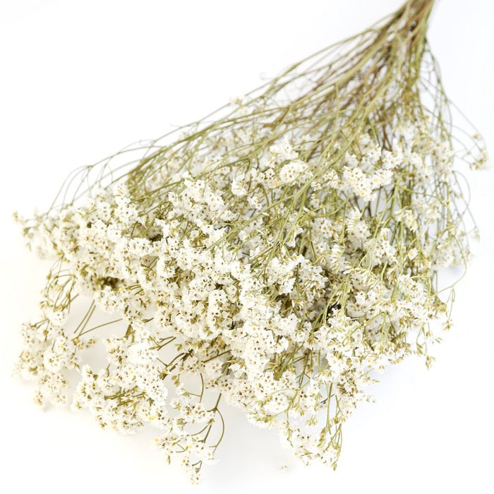 White Limonium Bunch – LSF Wholesale