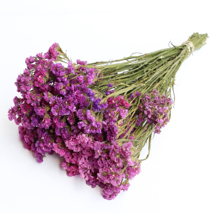 Lilac Pink Statice Bunch – LSF Wholesale