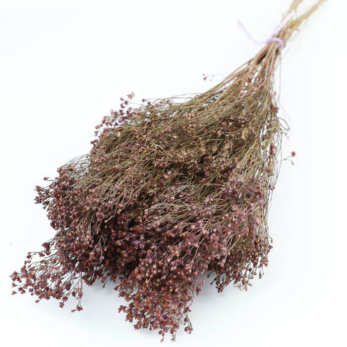 Purple Broom Bloom Bunch (Dyed) – LSF Wholesale