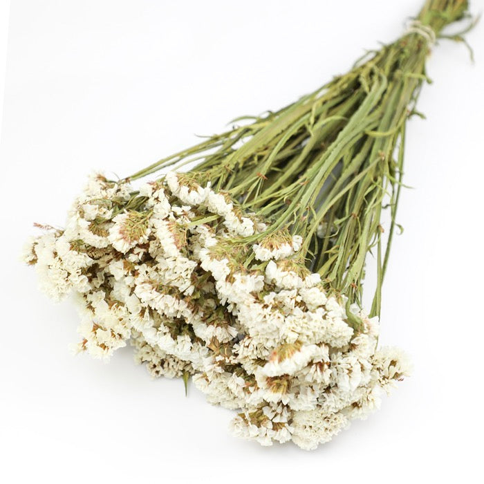 White Statice Bunch – LSF Wholesale