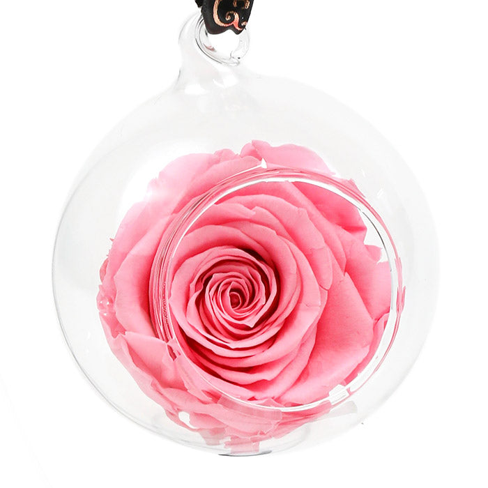 Preserved Pink Rose Bauble Decoration – LSF Wholesale