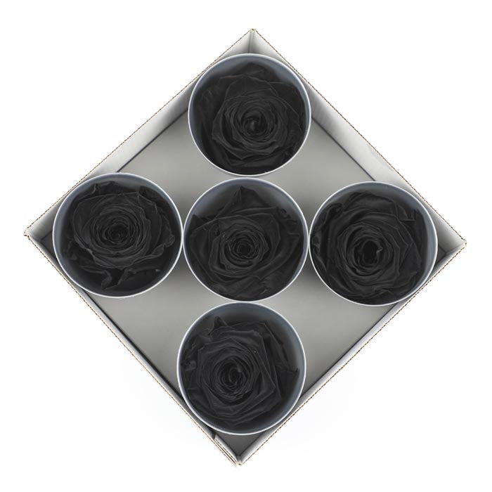 Black Preserved Rose Heads (Pack of 5) – LSF Wholesale