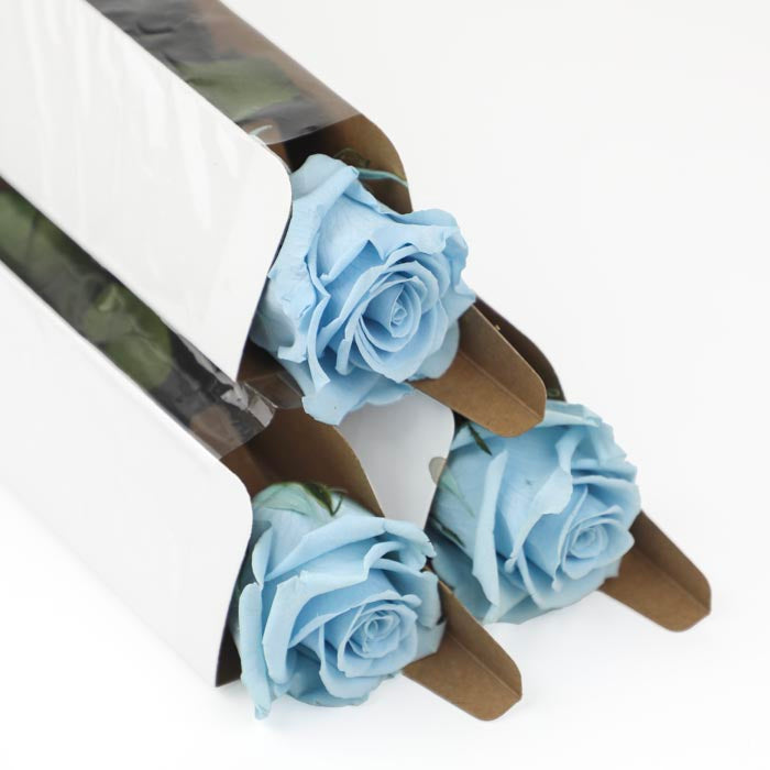 Blue Preserved Rose Stems – LSF Wholesale