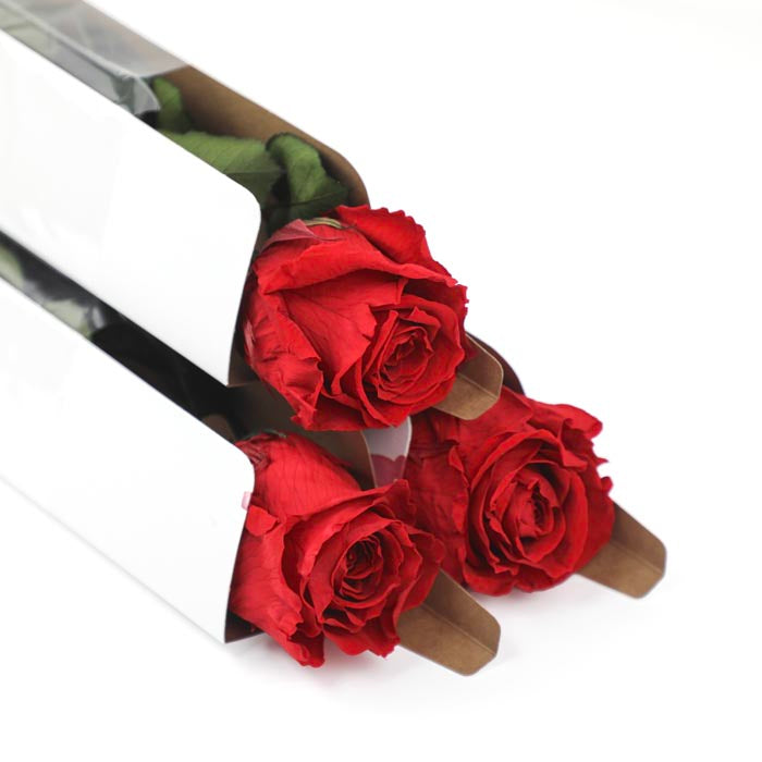 Red Preserved Rose Stems – LSF Wholesale