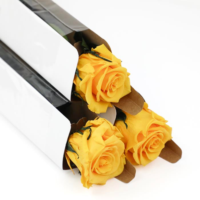 Yellow Preserved Rose Stems – LSF Wholesale