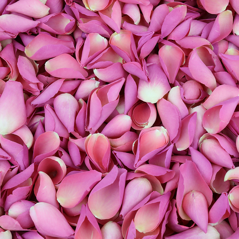 Petal rose store