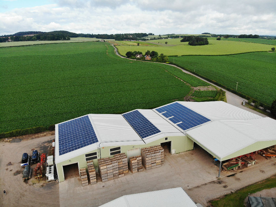 Sustainability – LSF Wholesale